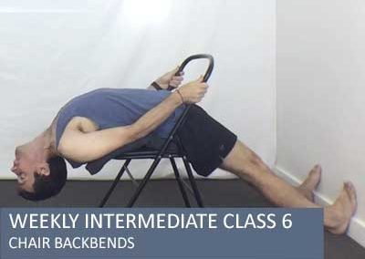 Online Yoga Classes | Iyengar Yoga All Levels | Yoga Selection