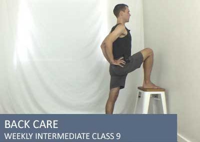 Online Yoga Classes | Iyengar Yoga All Levels | Yoga Selection