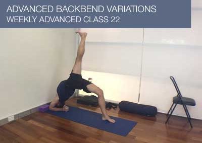 Online Yoga Classes | Iyengar Yoga All Levels | Yoga Selection