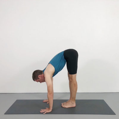 Bakasana - How To Do Bakasana From An Iyengar Perspective | Yoga Selection