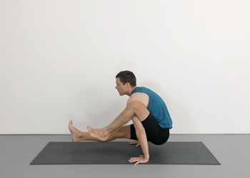 Eka Hasta Bhujasana | Yoga Selection