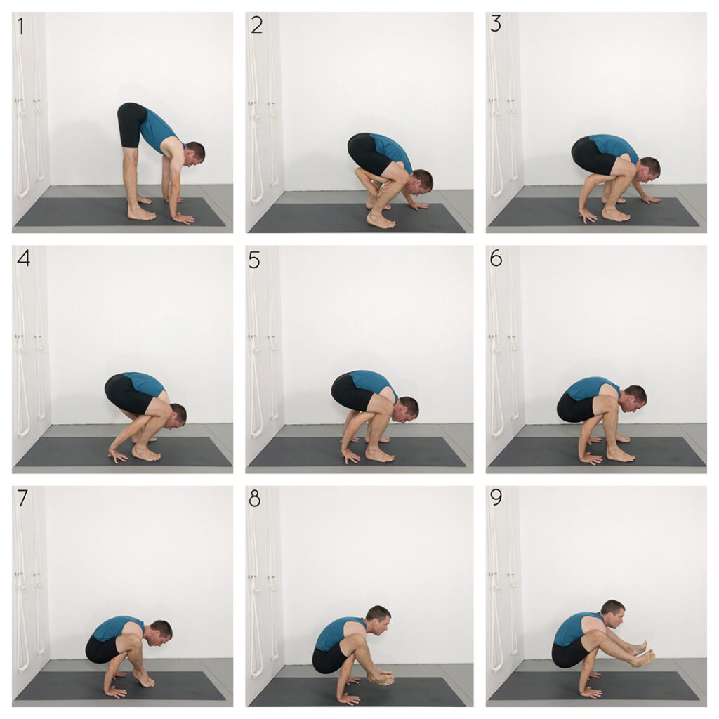 Dwi Hasta Bhujasana | Yoga Selection