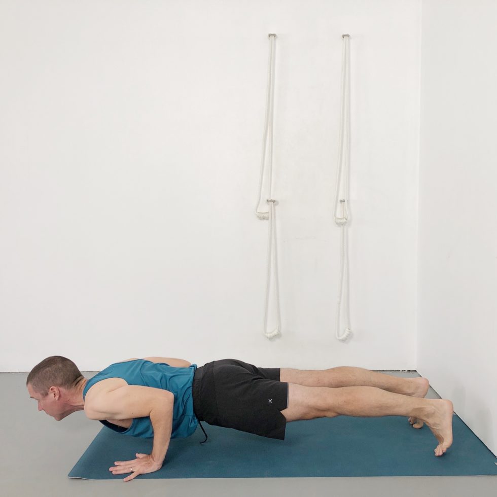 Chaturanga Dandasana - Tips and Techniques | Yoga Selection