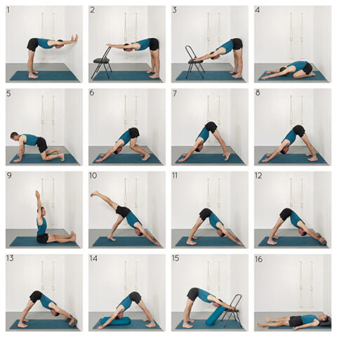 Downward Facing Dog Pose (Adho Mukha Svanasana) | Yoga Selection