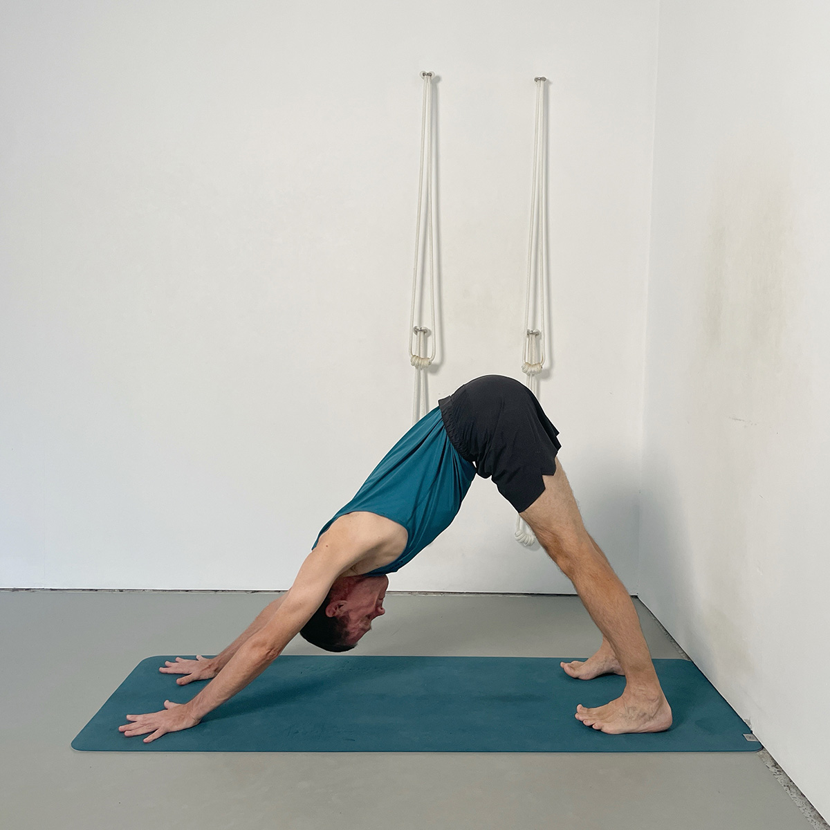 Downward Facing Dog Pose (Adho Mukha Svanasana) | Yoga Selection