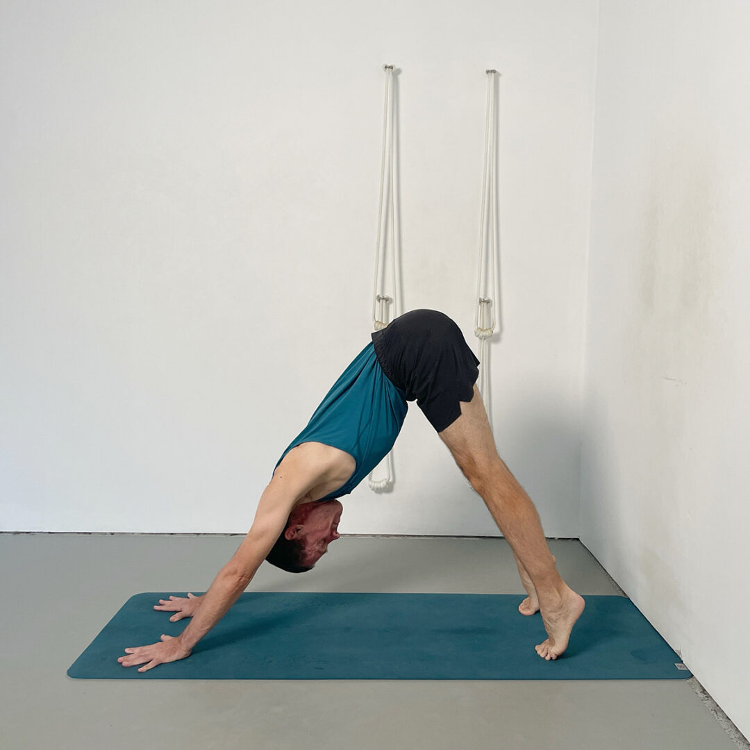 Downward Facing Dog Pose (Adho Mukha Svanasana) | Yoga Selection