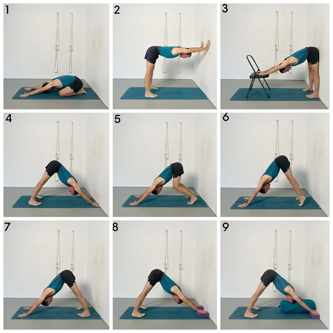 Downward Facing Dog Pose (Adho Mukha Svanasana) | Yoga Selection