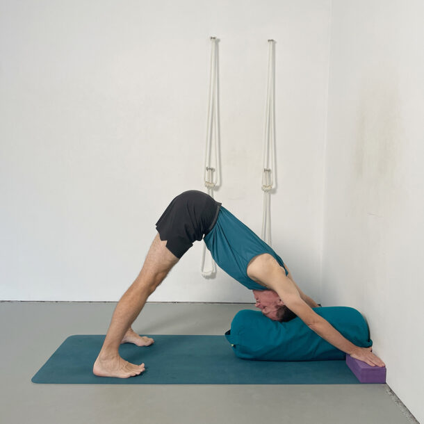 Downward Facing Dog Pose (Adho Mukha Svanasana) | Yoga Selection