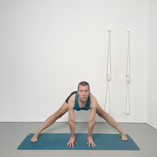 10 Essential Iyengar Yoga Poses for Beginners | Yoga Selection
